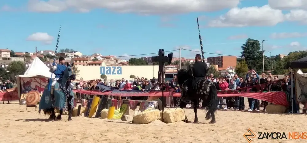 El Cerco de Zamora y la afrenta con los Arias en el Campo de la Verdad ...