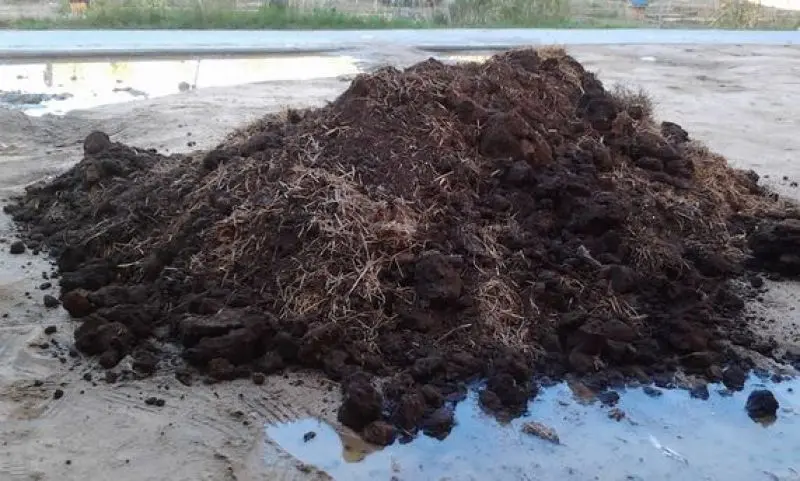 Autorizan una planta para tratar hasta 2.400 toneladas estiércol de...