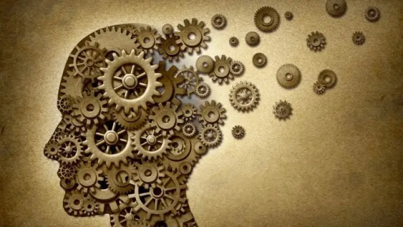 En busca de la sabiduría en el día mundial de la Filosofía