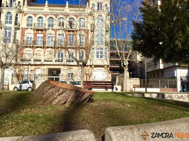 La obra de arte que pudo ser y se quedó en un simple ‘tocón’ más en La ...