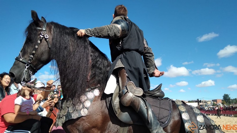 El Cerco de Zamora y la afrenta con los Arias en el Campo de la Verdad ...